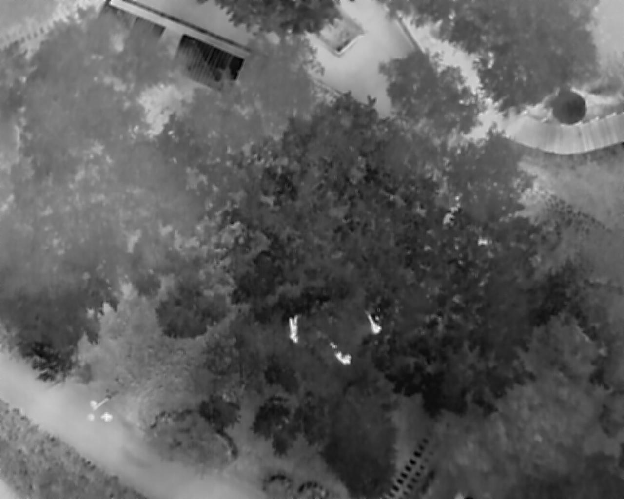 TopView-ThermalHumanDetection Object Detection Dataset by AJs RoboWorkspace