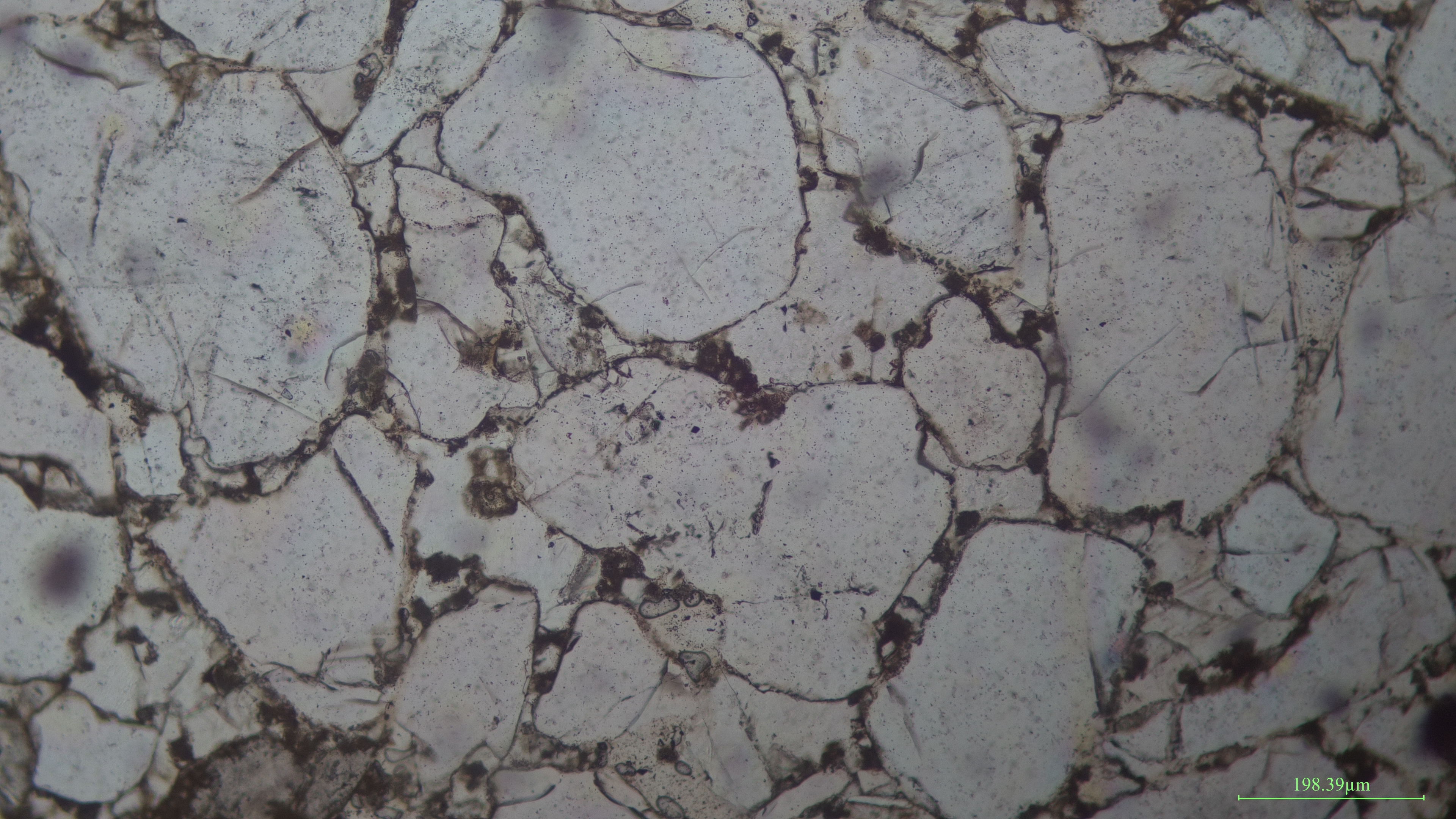 Clastics sediments and sedimentary rocks Instance Segmentation Model by ...