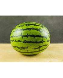 Watermelon Detector Instance Segmentation Model by melon