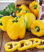 Bell Pepper Classification Dataset by cj