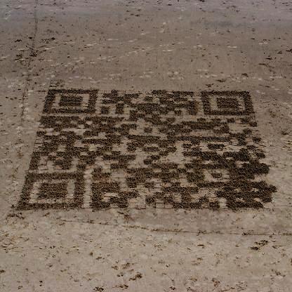 Barcode and QR code detection Object Detection Model by yuiiki