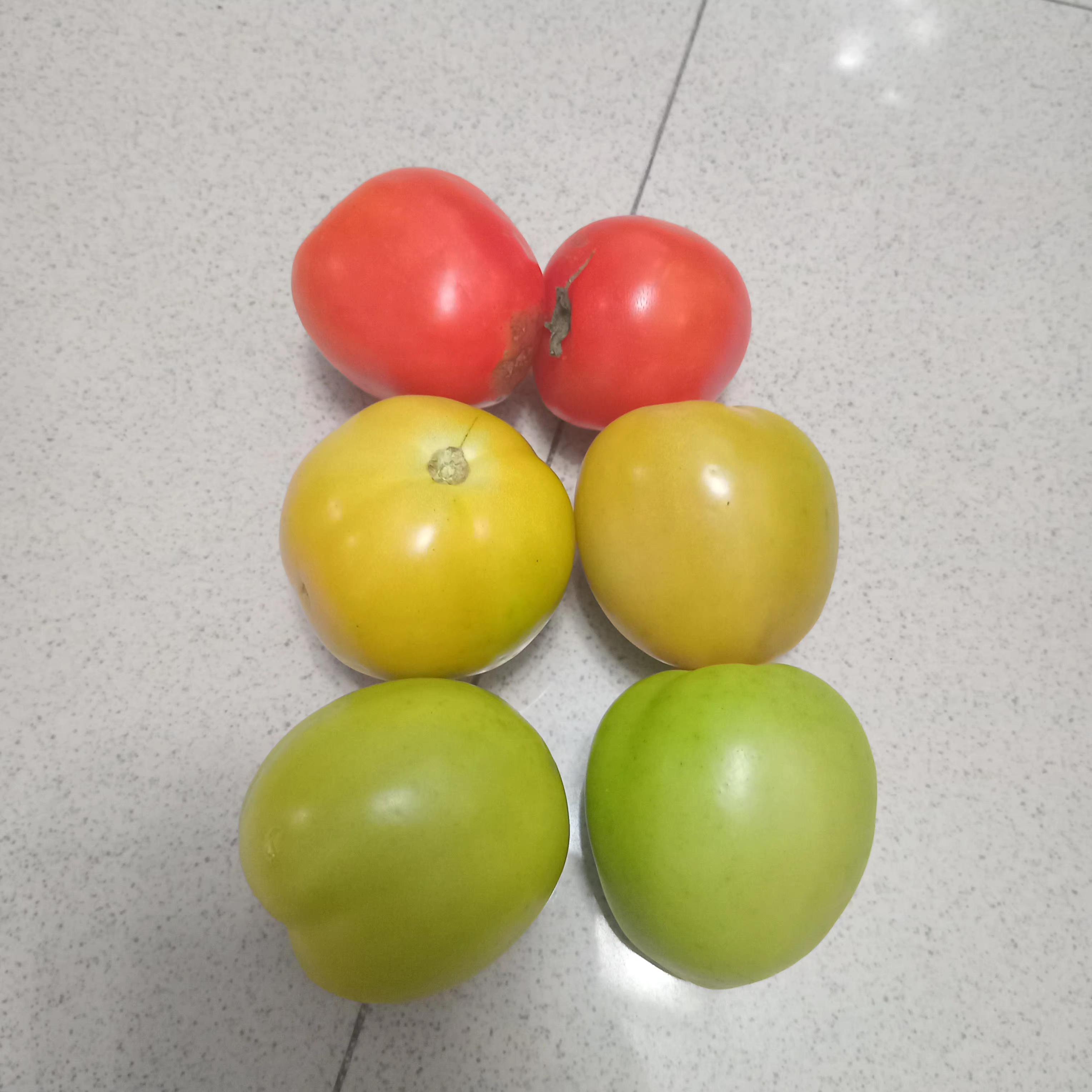 Fruit Detection Pd Object Detection Dataset And Pre Trained Model By