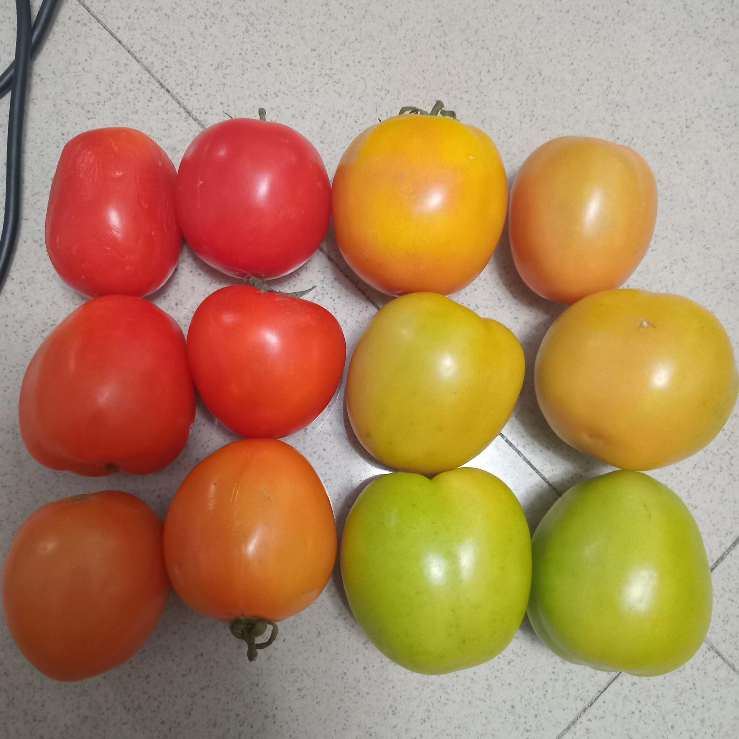 Tomato Ripening Stages Object Detection Dataset and Pre-Trained Model by Fruit Detection PD