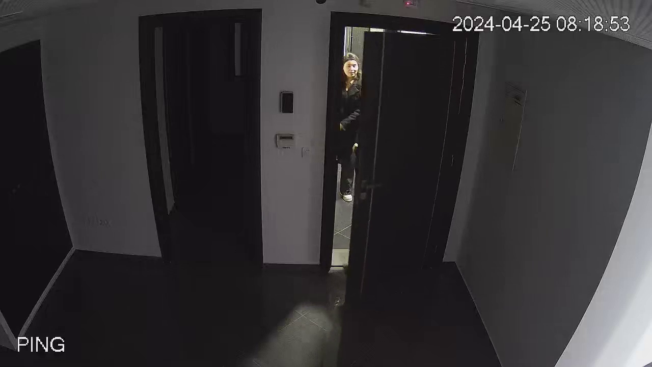 Face Recognition Object Detection Dataset By Project 1