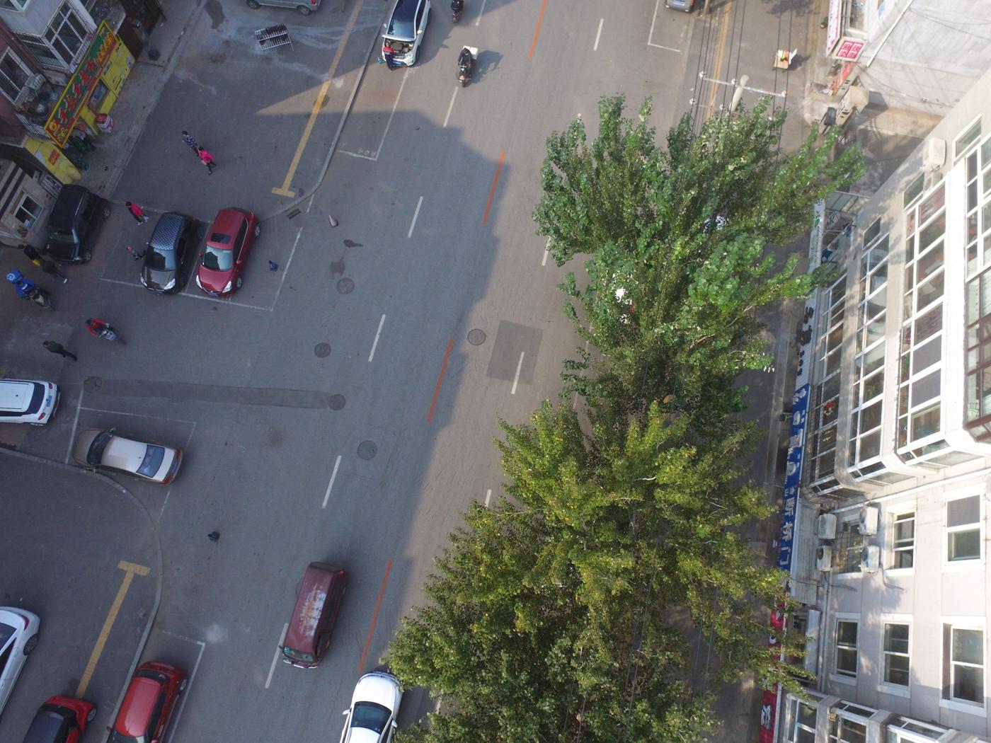 visdrone Object Detection Model by thesis