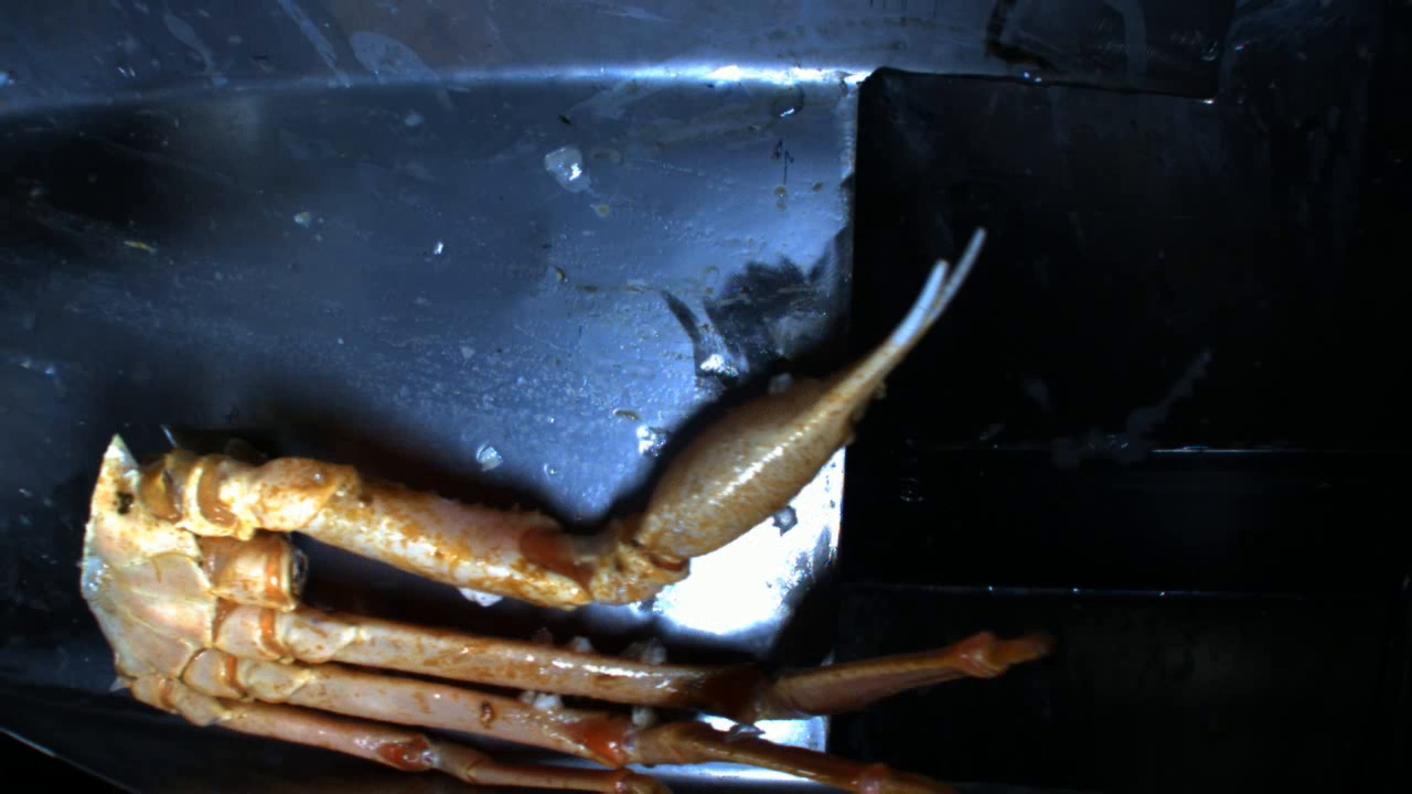 Top Half_body Datasets and Models | Roboflow Universe