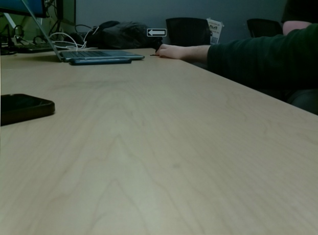 Quackston Object Detection Object Detection Model by ELEC390 Project