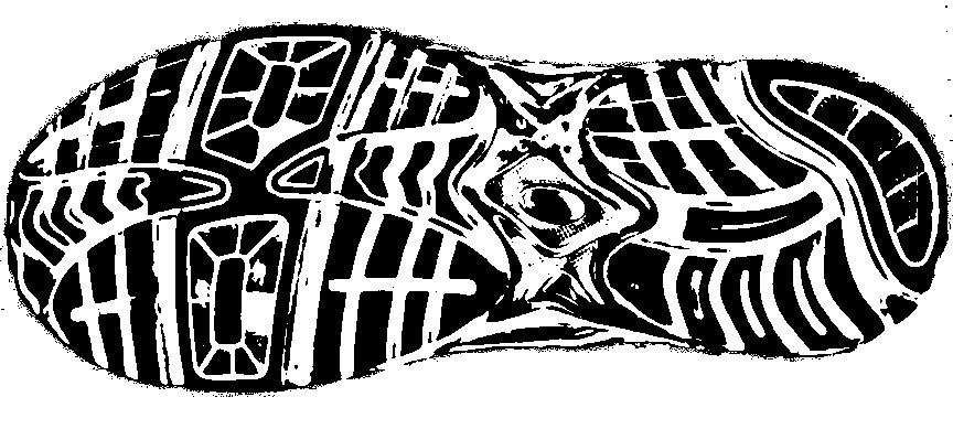 How to Use the shoeprints Instance Segmentation API