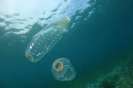 ocean_waste Object Detection Dataset and Pre-Trained Model by uwp dataset