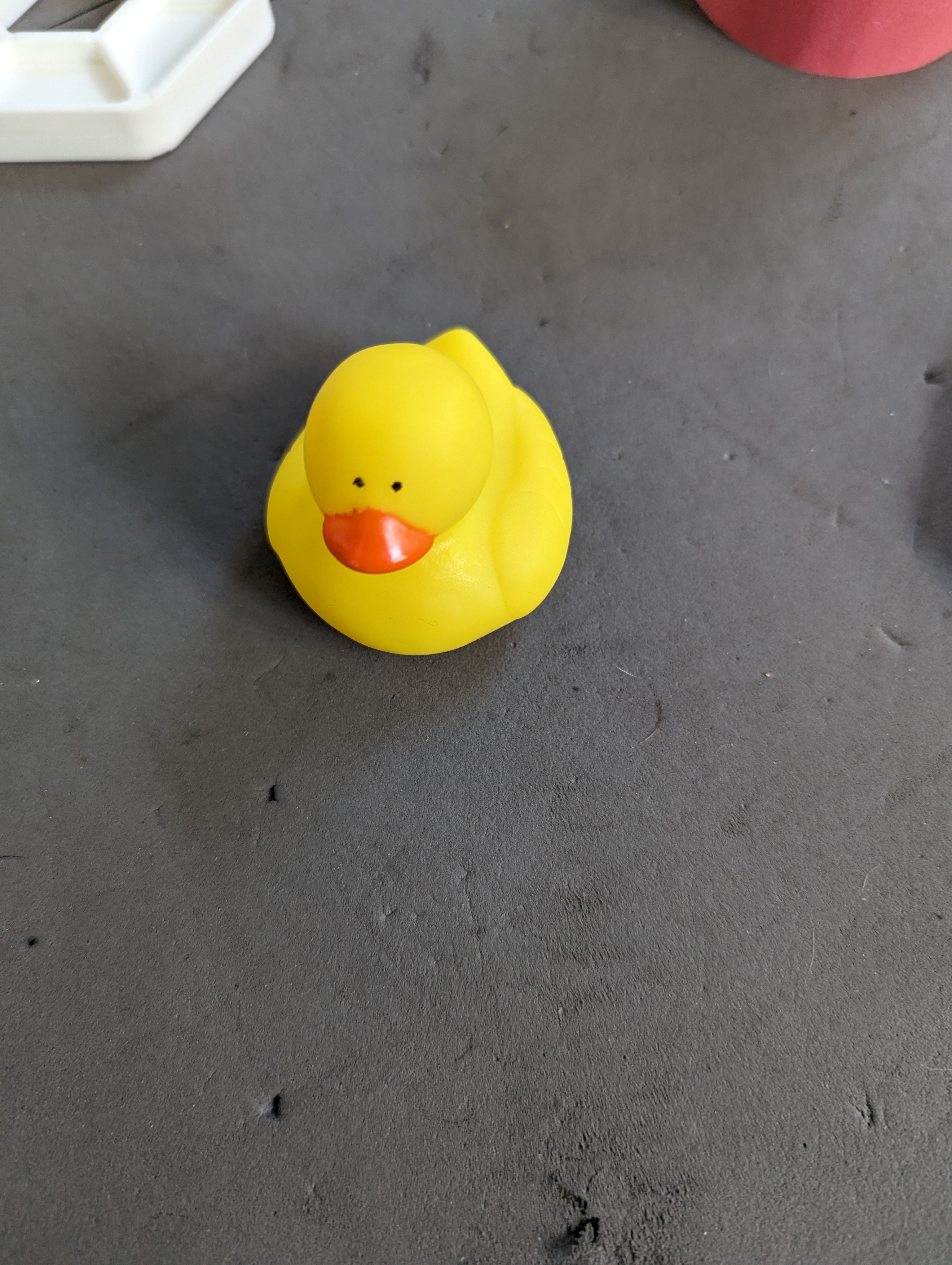 FTC Duck Object Detection Dataset by Erik Anderson