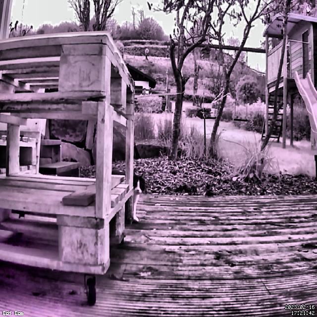 Final Object Detection Dataset by daid