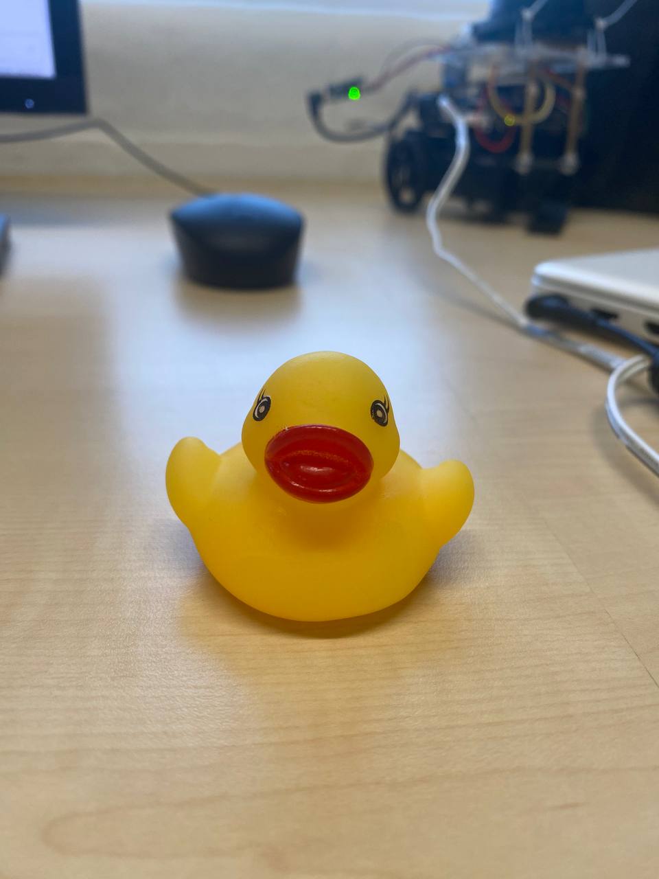 330_Assignment Object Detection Model by zzy