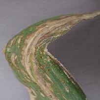 iot_PROYECT_FINAL Instance Segmentation Dataset and Pre-Trained Model by kevin