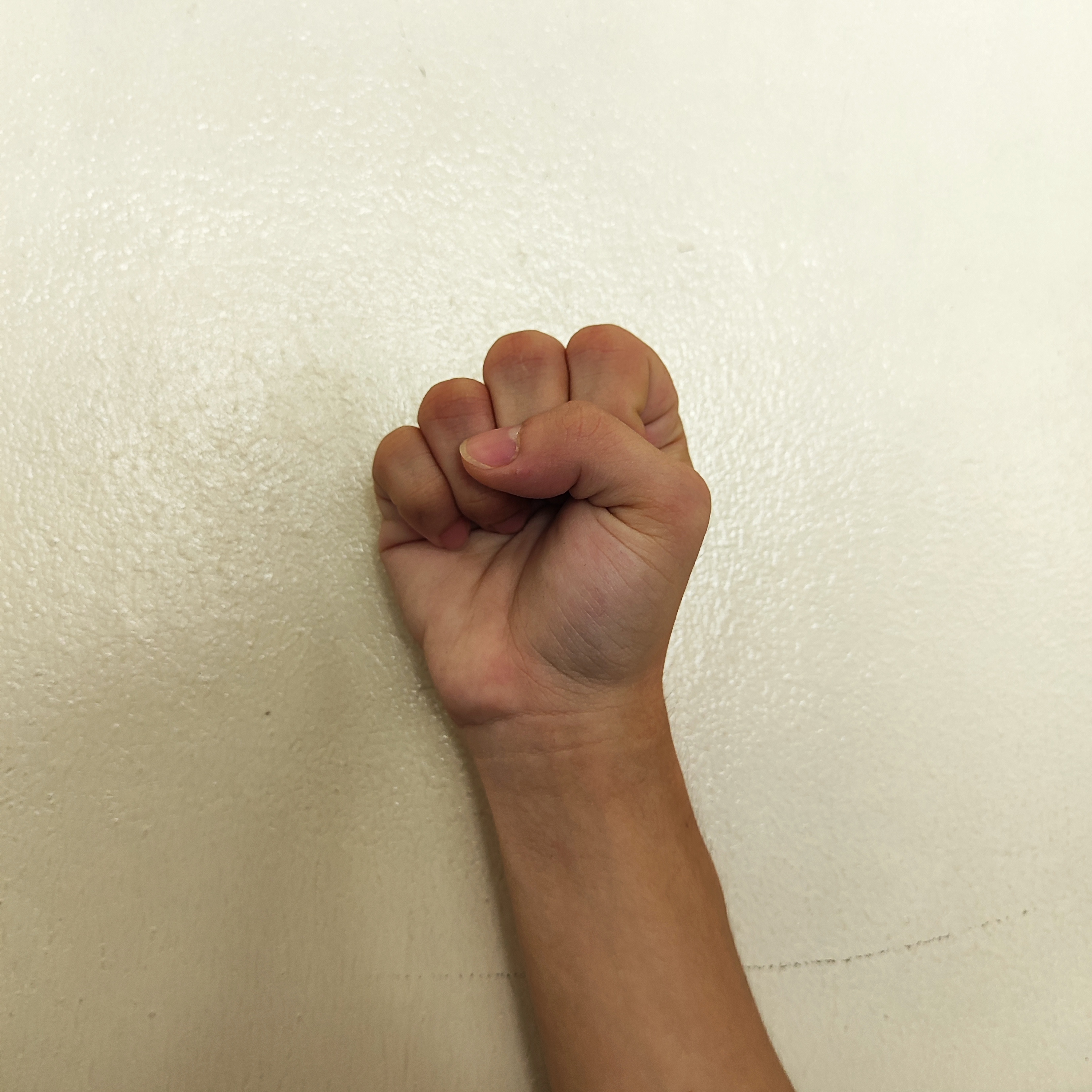 LABGRIP Object Detection Dataset and Pre-Trained Model by Arte facial ...