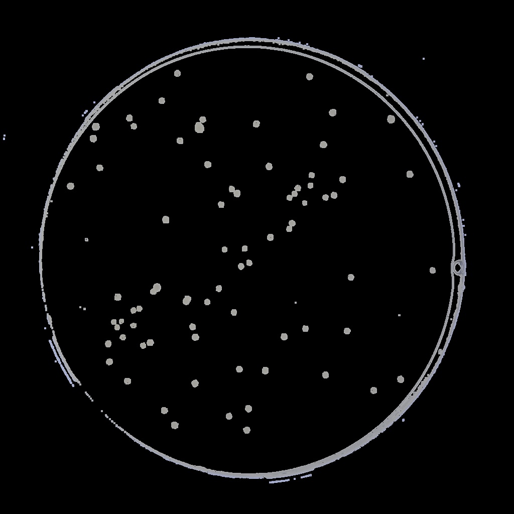 Colony Counter Object Detection Model by Colony count