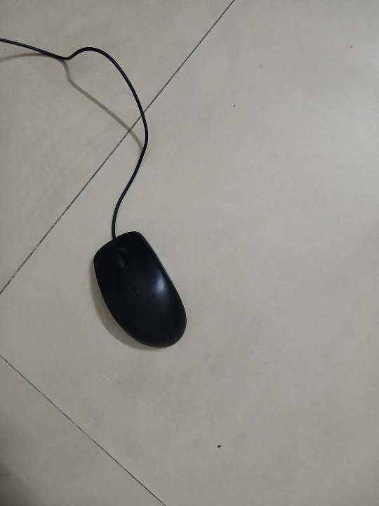 Mouse Detect Object Detection Dataset by Object Detection Mouse Detect Object Detection Dataset by Object Detection