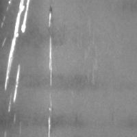 Detect And Classify Single-label Classification Classification Model by surabhi