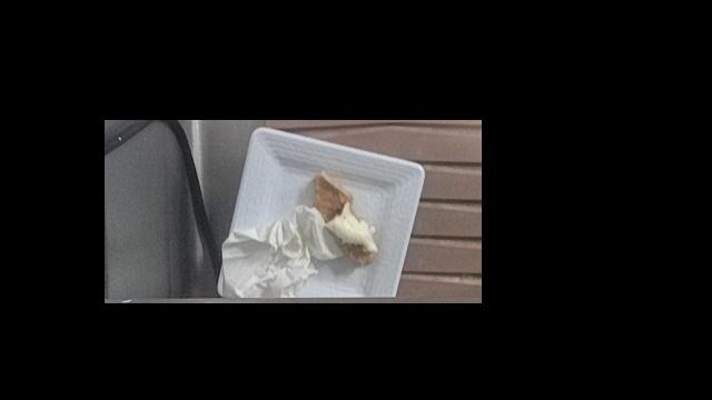 Waste in Plate - Roboflow Universe