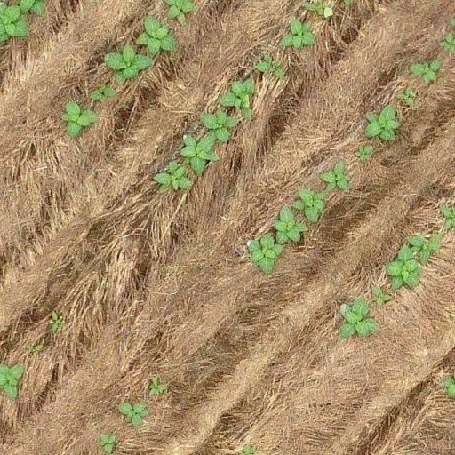 Convert Object Detection Dataset by new-workspace-9ws9j