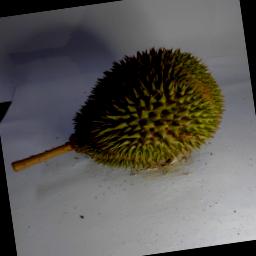 maayong durian Object Detection Dataset by ejay