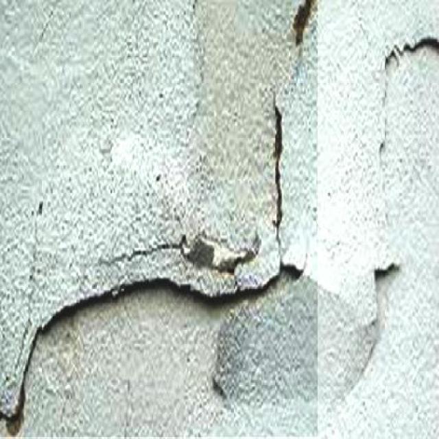 Wall Crack Instance Segmentation Model By Team5