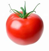 main Instance Segmentation Model by peng