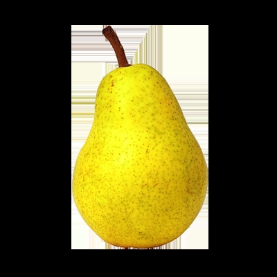 Pear Instance Segmentation Dataset by peng