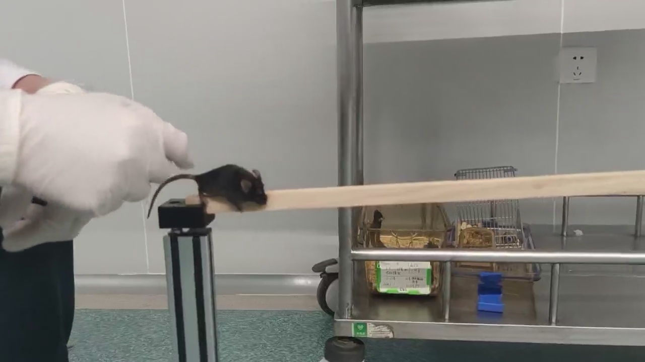 Annotation Claw Object Detection Dataset By Kangsy