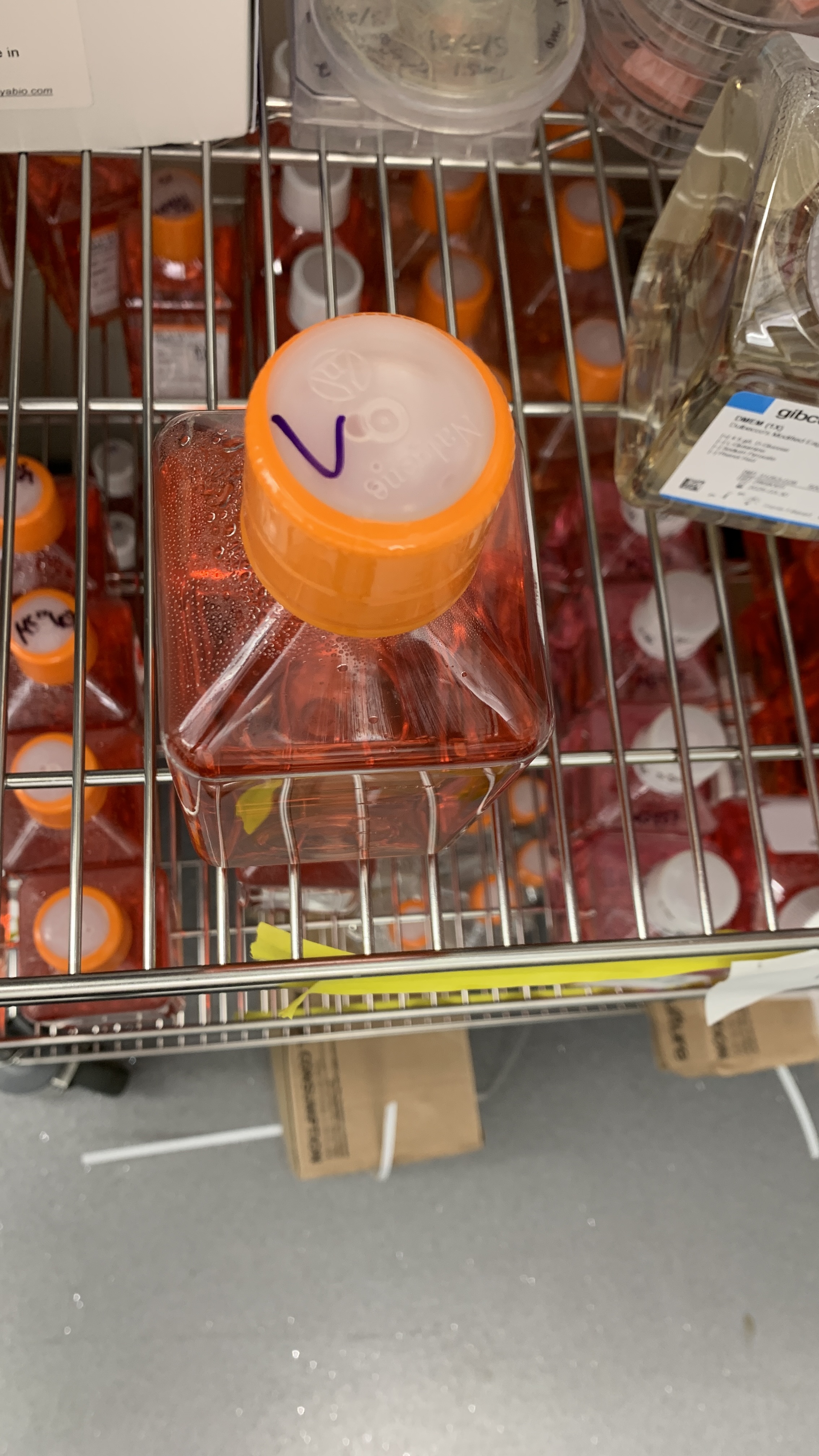 Lab managing inventory - Roboflow Universe