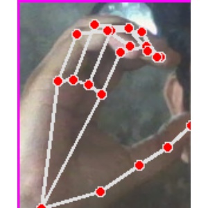 sign language Object Detection Model by iki