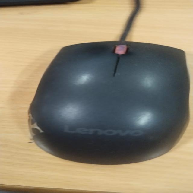 Mouses Object Detection Dataset by Project