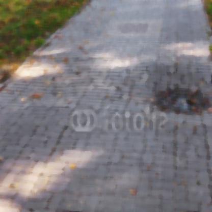 pothole detection Classification Dataset and Pre-Trained Model by college