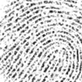 fingerprint Classification Dataset by Romeo Betnces