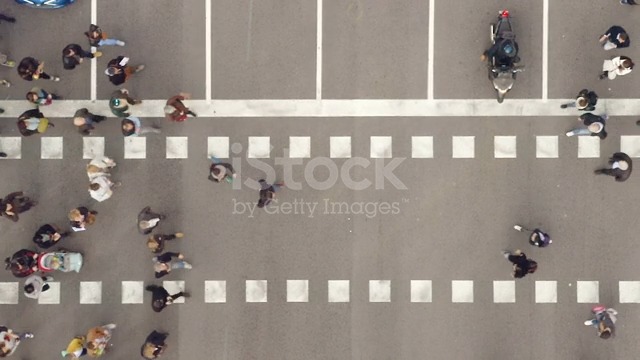 Top View Mix Object Detection Dataset by Top View Pedestrians