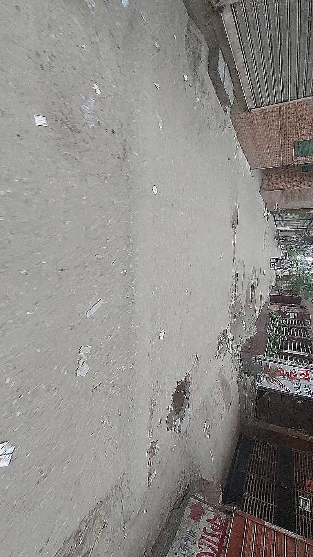 Detection Road Object Detection Dataset By East West University