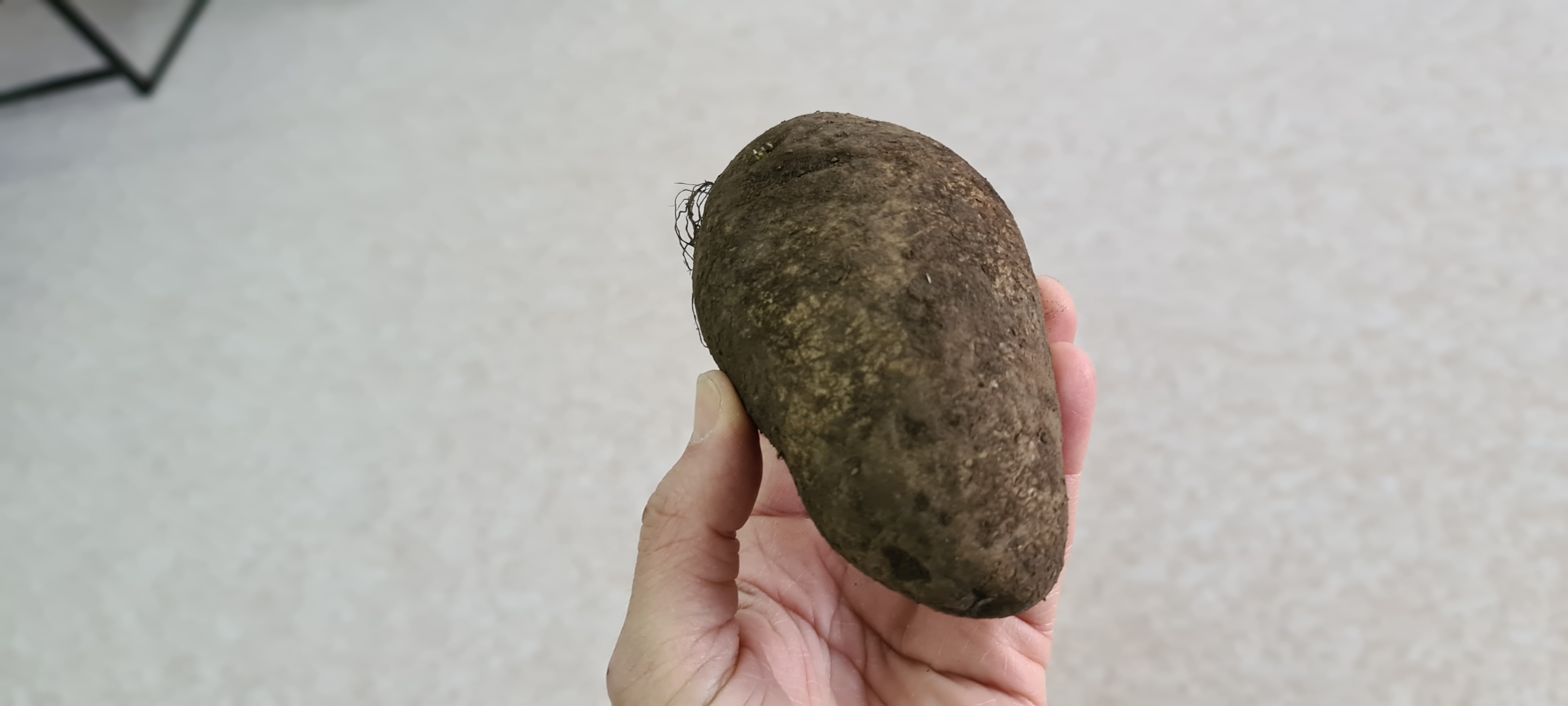 potato sorter Object Detection Dataset and Pre-Trained Model by ...