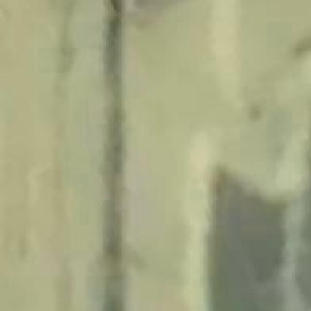 Trees And Grassland Instance Segmentation Dataset By Prasad