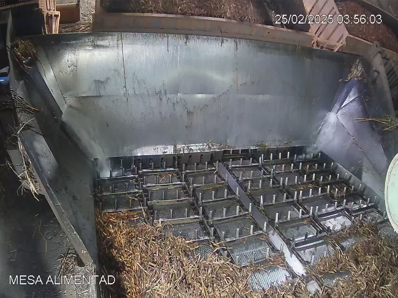 Teste Object Detection Model By Teste