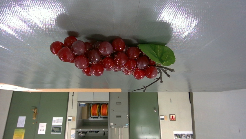 20240816_grape-train Instance Segmentation Dataset by 20240816objectscan