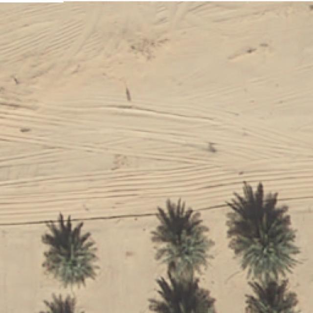 Palm Tree Counting Object Detection Dataset By Ipb
