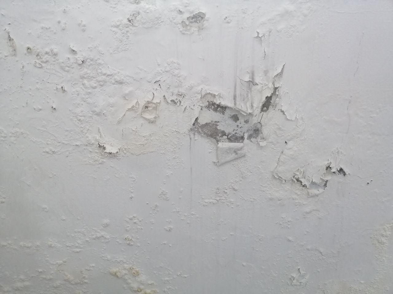 wall defect (color peel only) Object Detection Dataset by L