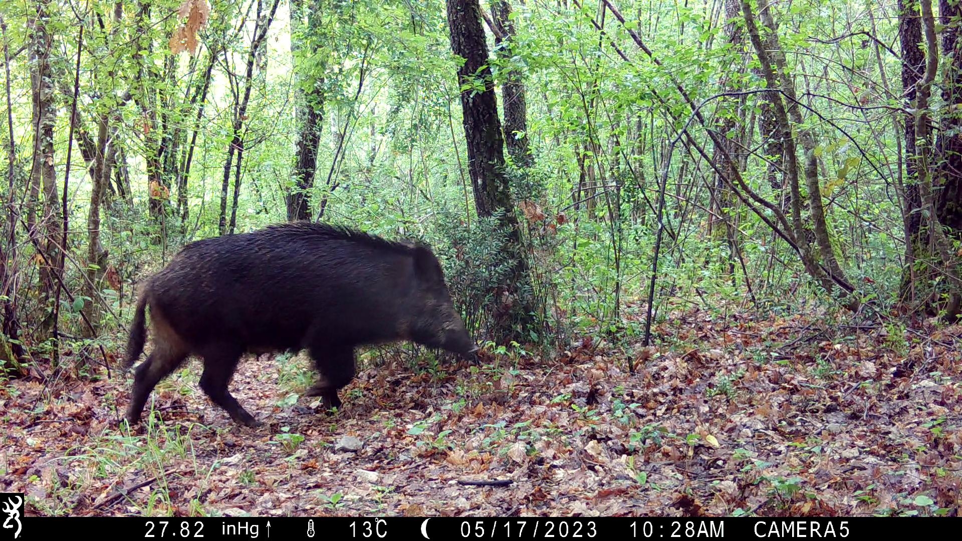 wb-prova-stqnm-tgki Object Detection Dataset by roboflow 20 VL