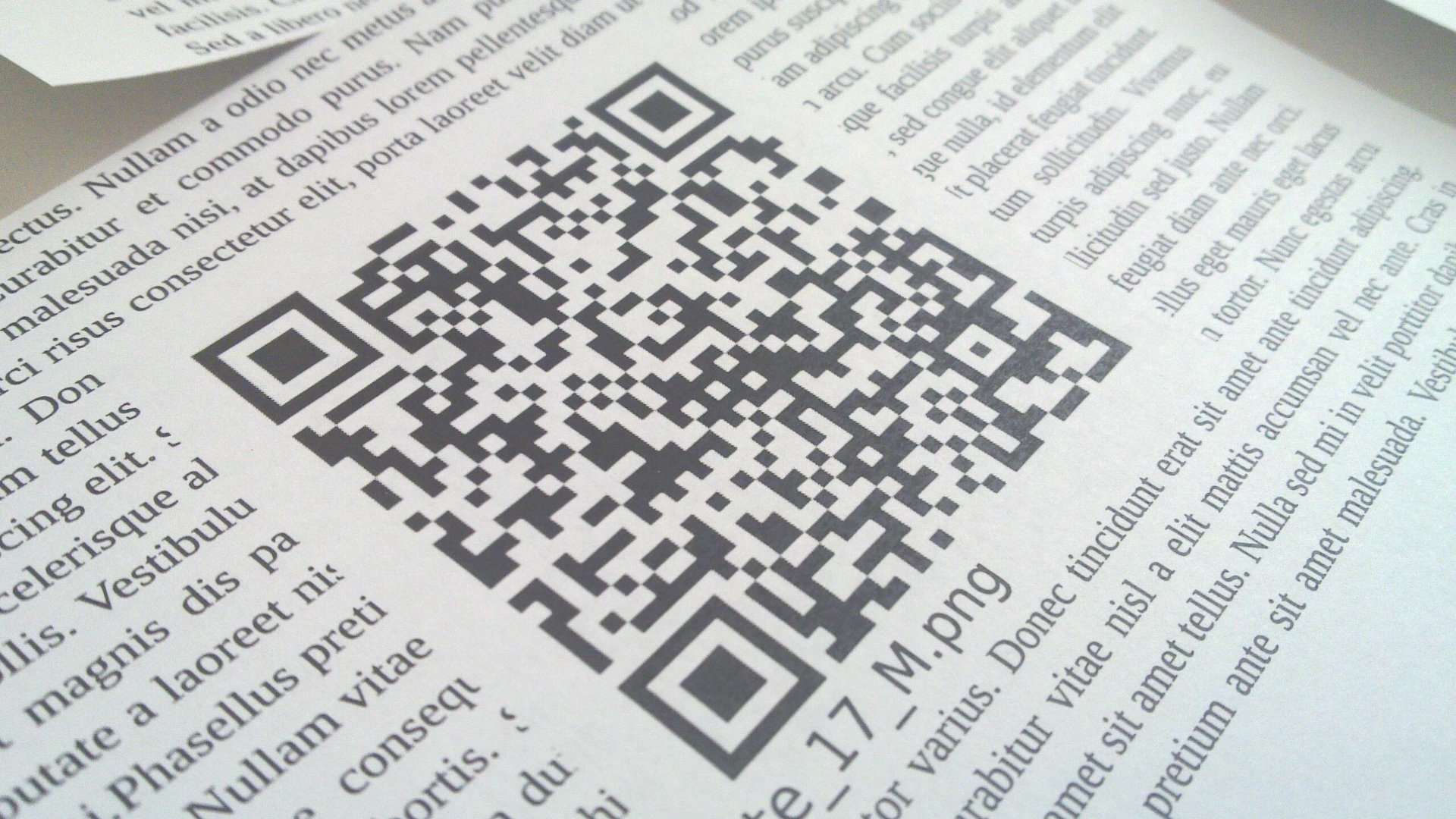 qr codes Object Detection Dataset by Cyril B.