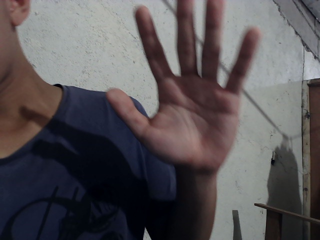 HAND DETECTION Object Detection Dataset by ML CAMERA