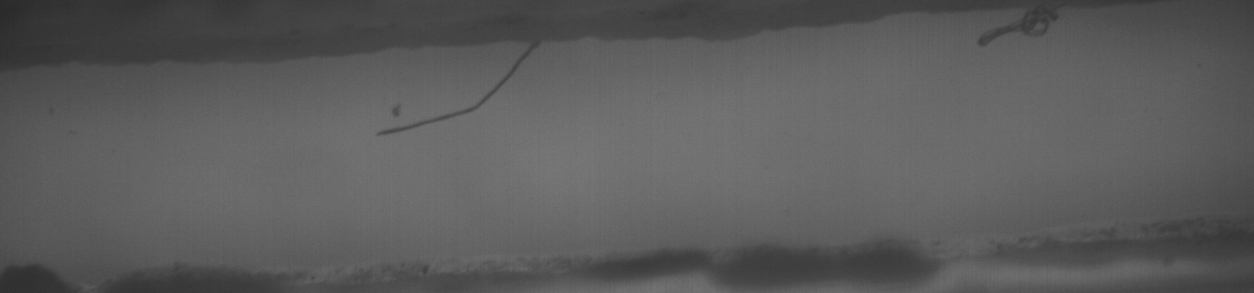 Fiber/Pellets Instance Segmentation Dataset and Pre-Trained Model by ...