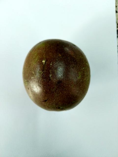 How To Use The Detect And Classify 2 Single Label Classification Classification Api