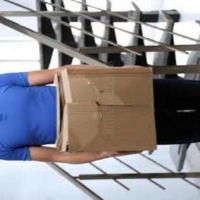 Box detection Object Detection Dataset by Yolov3tiny