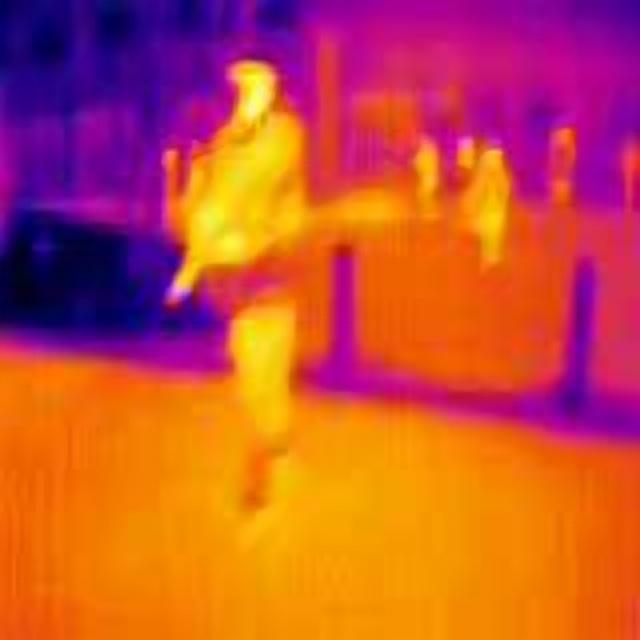 ownthertmal Object Detection Dataset (v2, 2024-11-28 10:43am) by lucky block