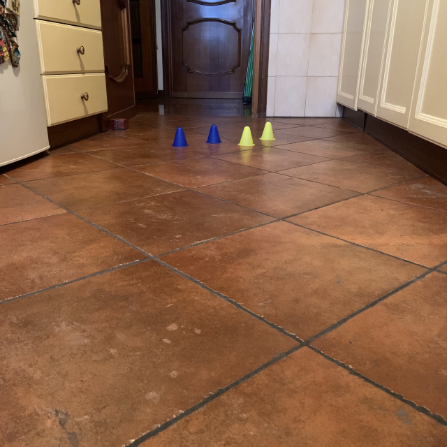 mini_cones Object Detection Dataset and Pre-Trained Model by cvroadcones