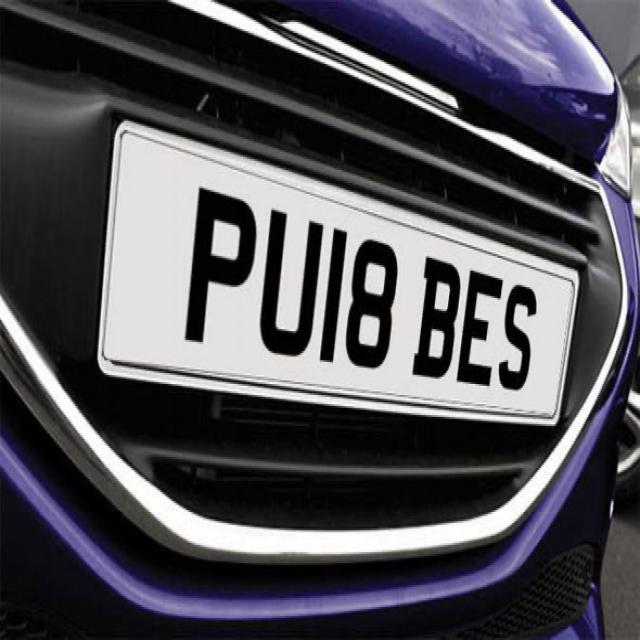 Car License Plate Recognition Object Detection Dataset by Practice